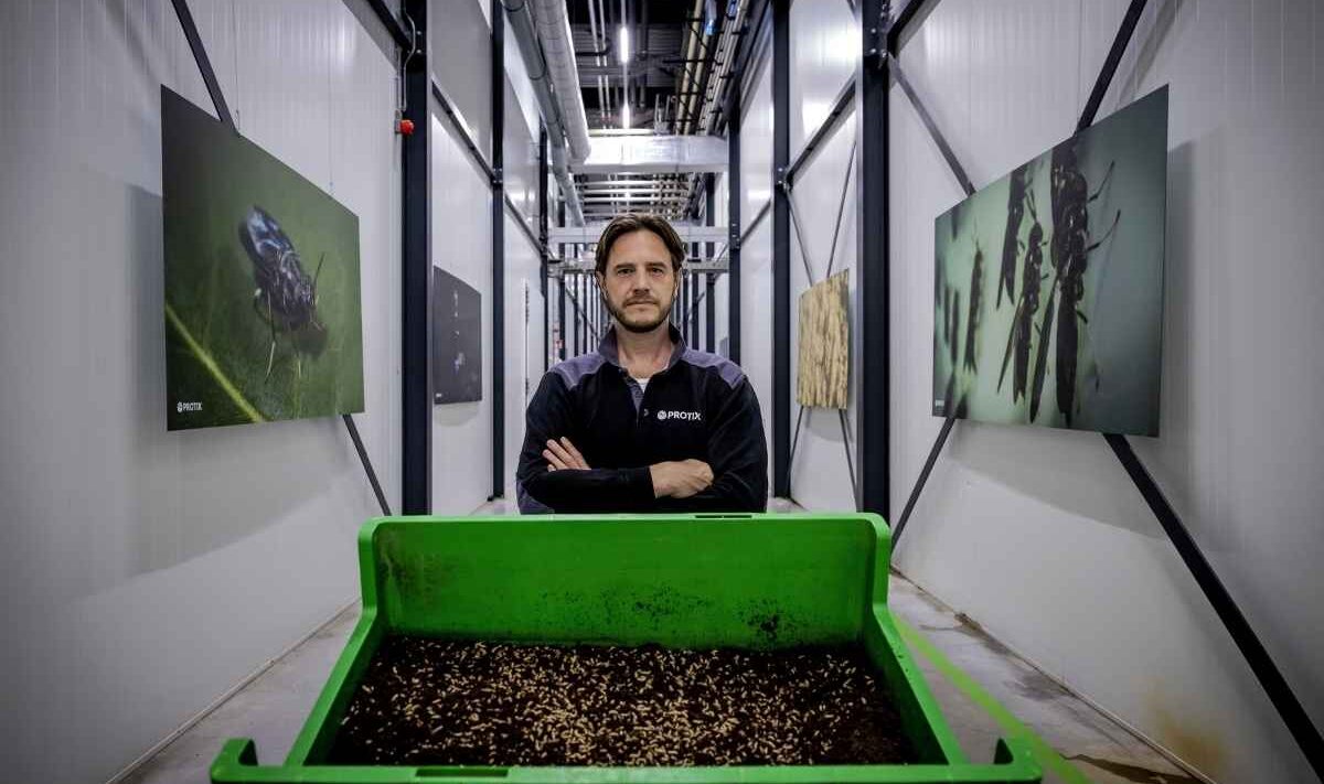 Techondernemer Kees Aarts (Protix) verhuist naar Amerika: ‘Daar is veel ...